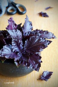 Salsa Morada Fresca (Fresh Purple Salsa with Tomatillos and Purple Basil)