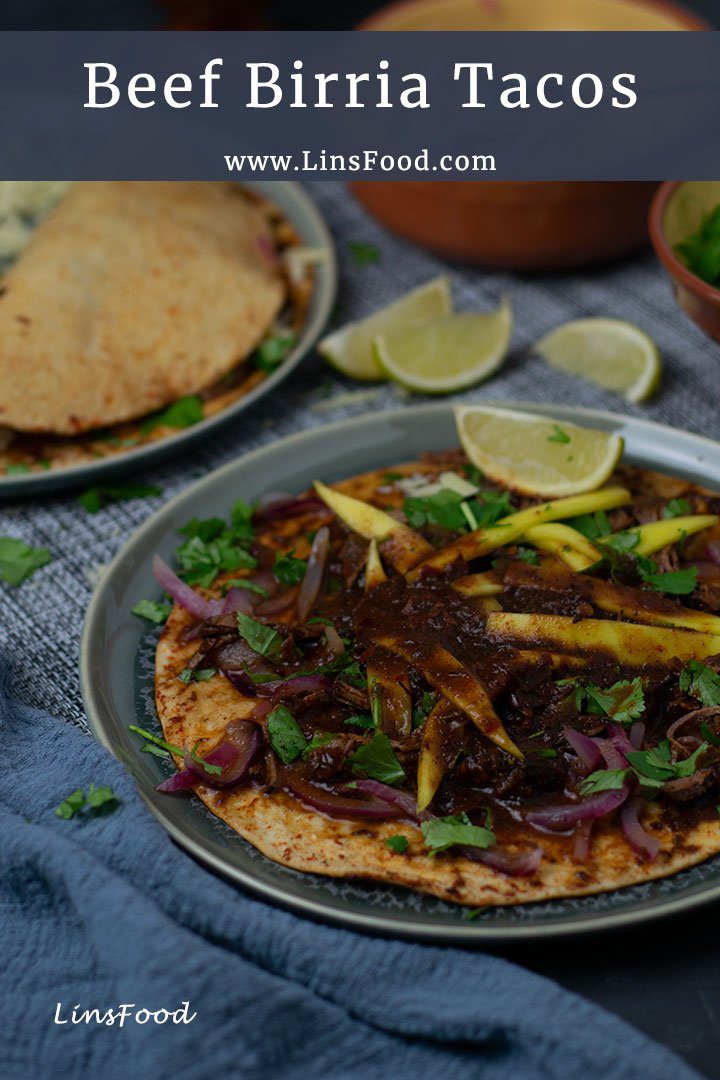 Beef Birria Recipe (Mexican Beef Stew)